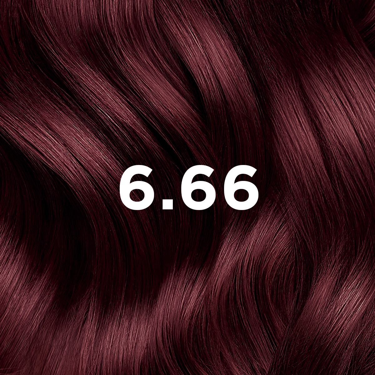 6.66 Intense Cherry Red Brown - PHYTO HAIR COLOR